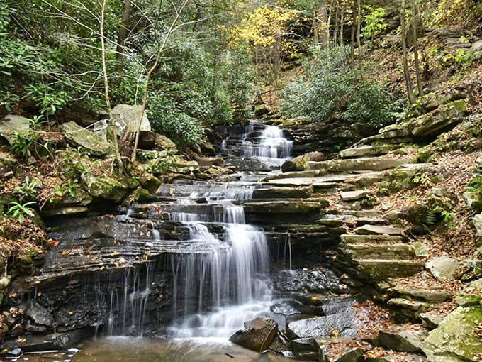 Autumn's masterpiece: Mother Nature's paintbrush transforms Trough Creek into a living, breathing work of art.