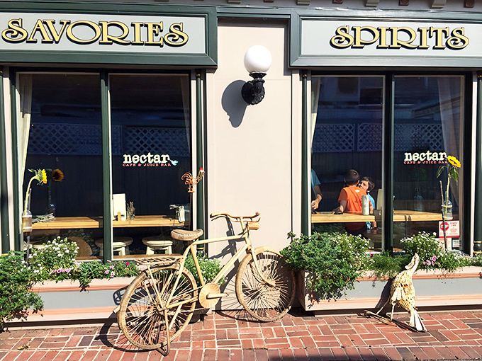 The unassuming storefront of Nectar Cafe & Juice Bar beckons like a culinary lighthouse on Lewes' shore, promising delicious refuge from ordinary dining experiences.