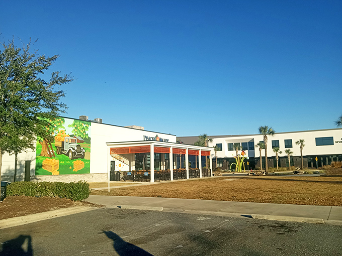 Sunshine, palm trees, and the promise of breakfast paradise &ndash; Peach Valley Cafe's exterior invites you in like a warm Florida morning.