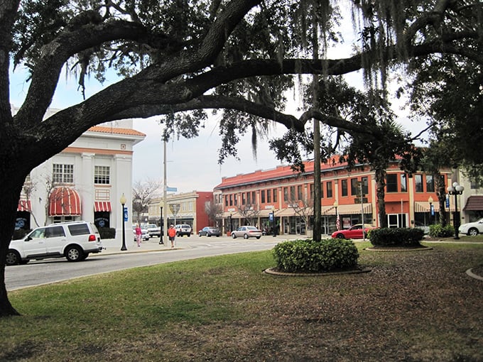Downtown Sebring looks like a movie set where the director said, "Make it charming, but keep the parking convenient!" Classic Florida architecture without the tourist markup.
