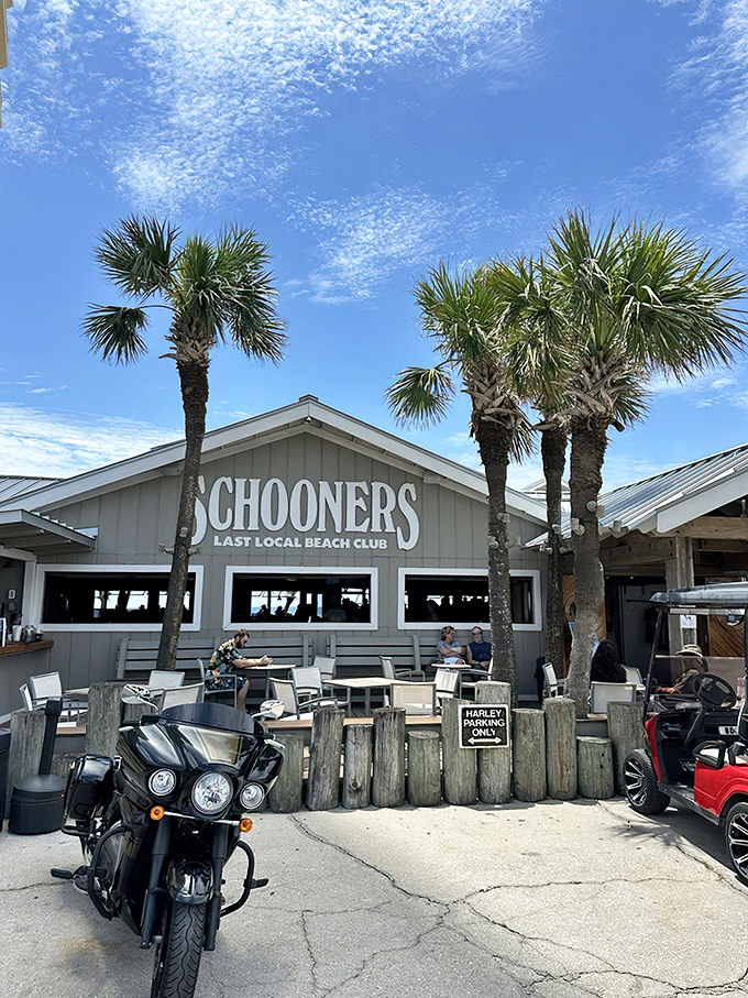 Schooners proudly declares itself "The Last Local Beach Club," where motorcycles park out front like loyal patrons waiting for their seafood fix.