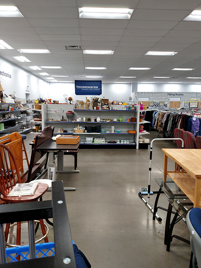 The furniture section offers seating possibilities from mid-century modern to contemporary comfort. That perfect accent chair might be waiting just around the corner.