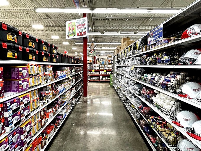 Perfectly organized aisles create a treasure map of possibilities. The lighting may be fluorescent, but the savings glow with a warm, comforting radiance.