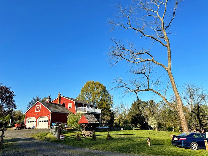 Red barn architecture meets modern purpose. This reimagined structure proves that Lambertville knows how to honor its past while embracing the present.