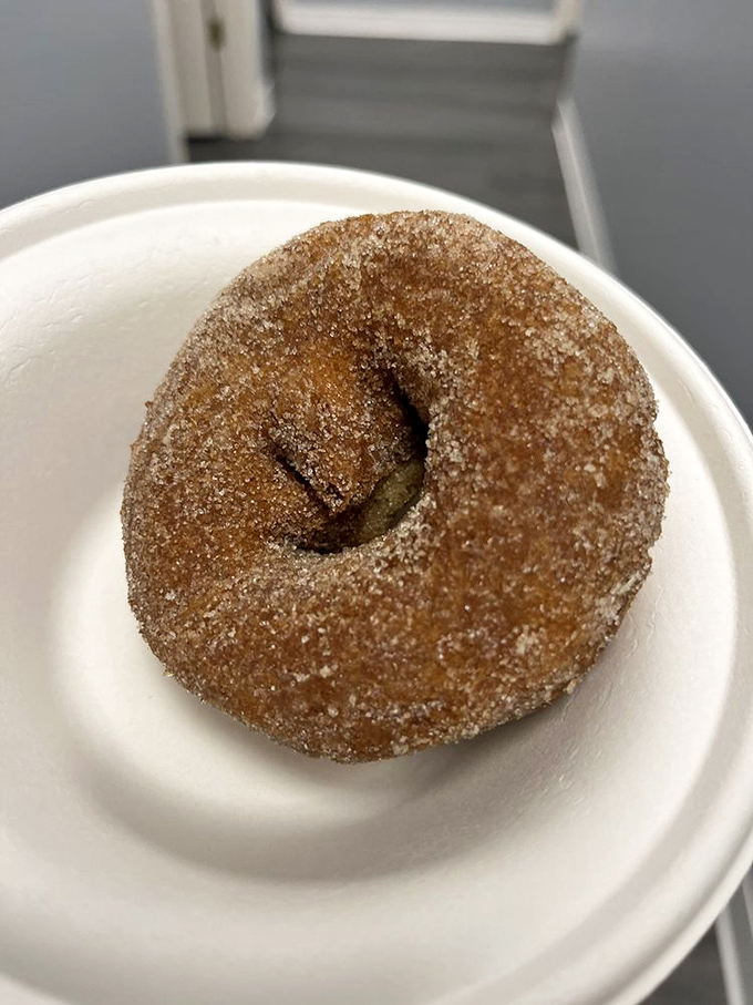 The cinnamon-sugar coated dream team. This apple cider donut isn't just a treat&mdash;it's what happiness would look like if it took solid form.