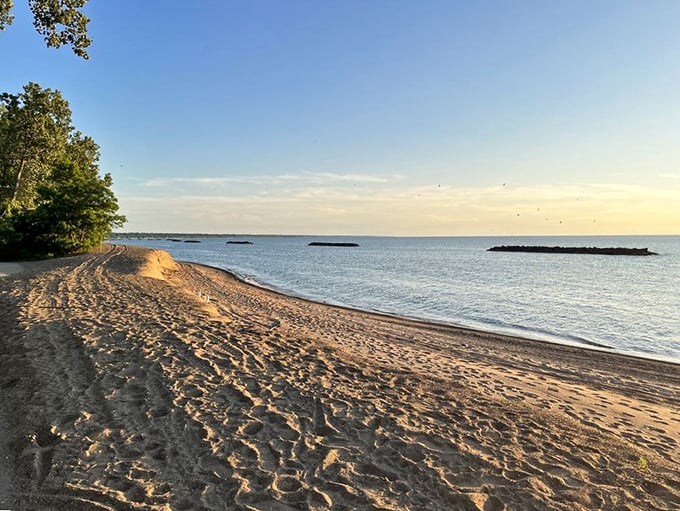 Golden hour at the shoreline paints the sand with honey-colored light, turning an ordinary beach stroll into a walk through a Monet painting.