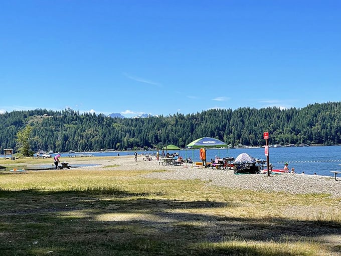 Beach day perfection with Olympic Mountains on the horizon. Families stake their claims on this pebbly paradise where Hood Canal meets blue sky.