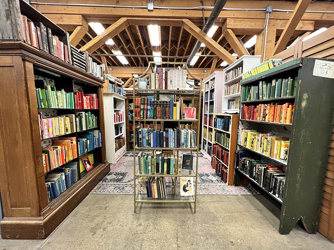 Books arranged by color create a rainbow of literary treasures—proof that before Netflix binges, people had to turn pages to find out what happened next.