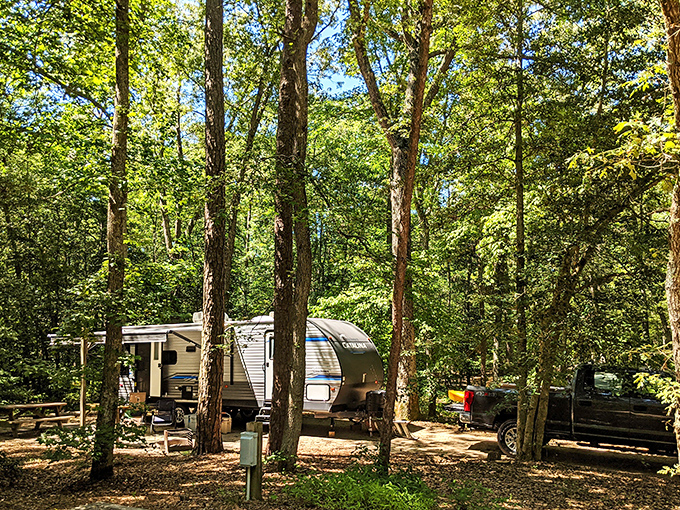 Camping here isn't roughing it—it's upgrading your ceiling from drywall to stars and trading traffic noise for nature's greatest hits album.