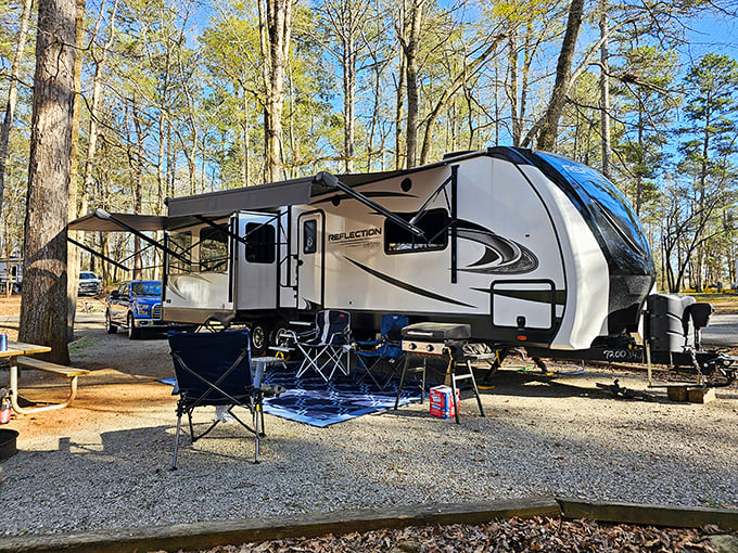 Glamping has entered the chat. Modern comfort meets woodland serenity in the park's well-appointed camping areas.