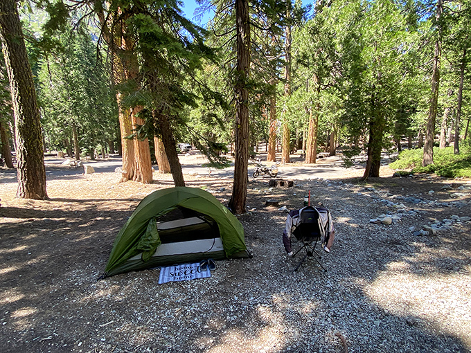 Camping as it should be: beneath towering pines with nothing but canvas between you and a million stars.