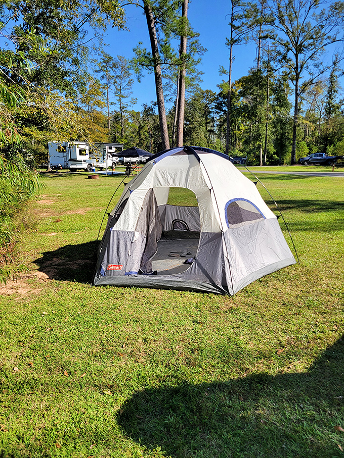 Camping here means pitching your tent between civilization and wilderness, where nighttime symphonies are conducted by frogs instead of car alarms.