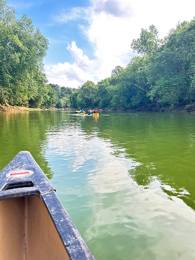 Canoeing the Green River offers front-row seats to Kentucky's natural splendor. The water moves at the perfect pace &ndash; just fast enough to be interesting, slow enough to be peaceful.