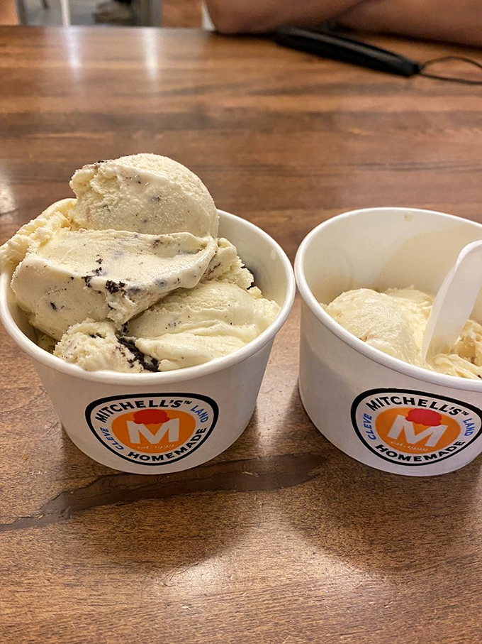 Two cups sitting side by side like old friends catching up. One's telling chocolate chip stories while the other nods in vanilla agreement.