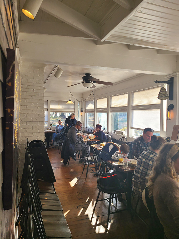Morning light bathes diners in a glow that makes everyone look like they're in a breakfast commercial. The wooden floors have stories to tell.