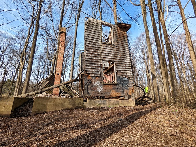 What remains when humans depart? This crumbling structure offers a haunting reminder of impermanence amid the enduring Maryland wilderness.