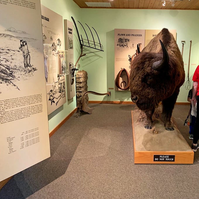 Inside the nature center, exhibits bring prairie history to life. This bison looks remarkably well-preserved for being several centuries old.