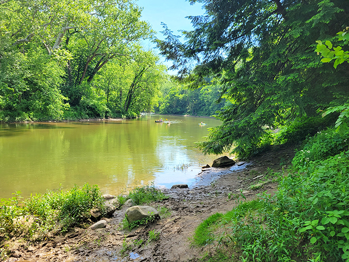 Sugar Creek offers front-row seats to nature's greatest show. The kind of peaceful paddling spot where stress dissolves faster than sugar in hot coffee.