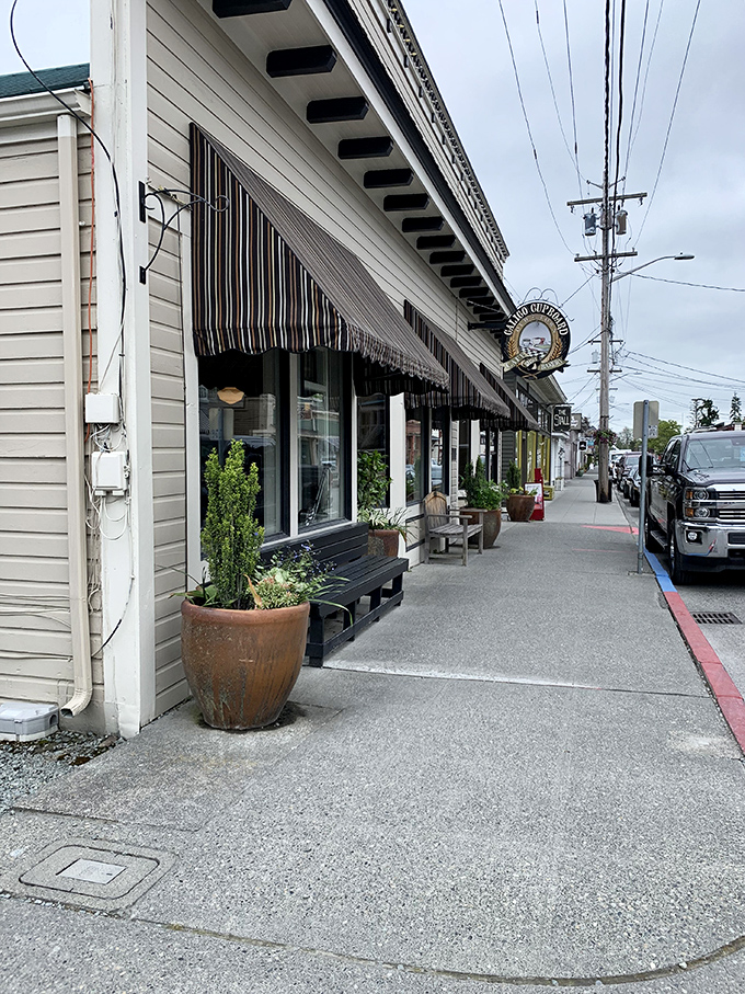 La Conner Calico Cupboard's charming storefront promises cinnamon rolls so good you'll contemplate whether pants with elastic waistbands are acceptable travel attire.