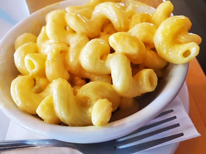 Mac and cheese that's achieved the perfect cheese-pull-to-noodle ratio. Einstein couldn't have calculated a more perfect equation of comfort.