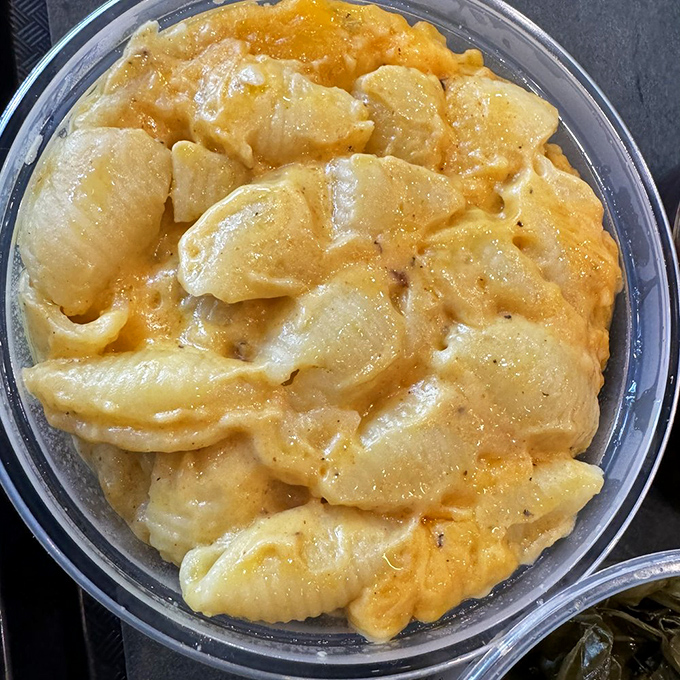 This isn't just mac and cheese &ndash; it's a creamy, cheesy revelation that refuses to be relegated to mere side dish status.