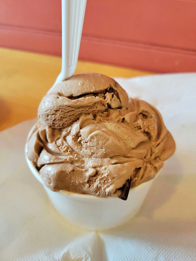 This mocha chocolate chip doesn't just satisfy a craving—it creates a new standard for what chocolate ice cream should be.