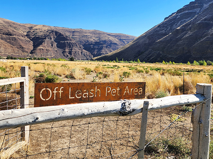 Even Fido deserves freedom in the wild. The off-leash area lets four-legged explorers experience the canyon's scents and sounds unleashed. 