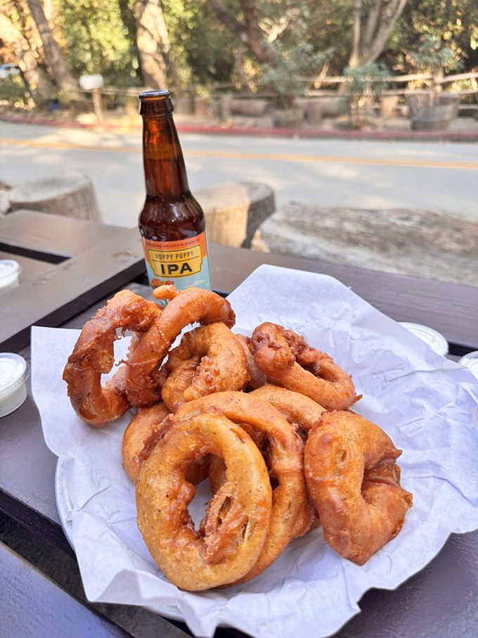 These aren't just onion rings; they're golden halos of happiness that crunch loud enough to echo through the canyon.