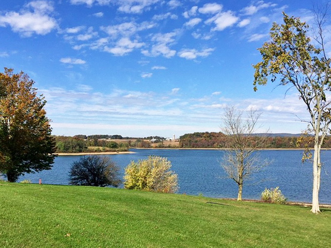 Fishing isn't just about catching something&mdash;it's about creating memories that last longer than any "big fish" story ever could. 