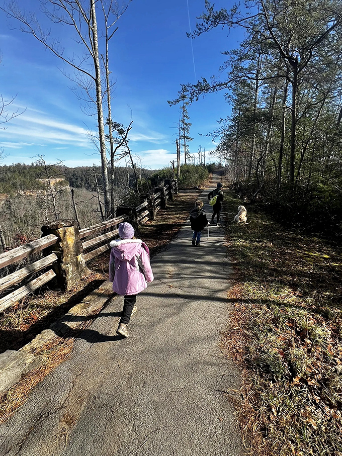 The trail beckons with promises of discovery around every bend. Even children forget about their devices when adventure is the better app.