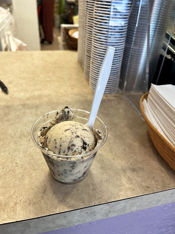 The perfect marriage of peanut butter and chocolate fragments, proving that some classic combinations never need reinvention, just perfection.