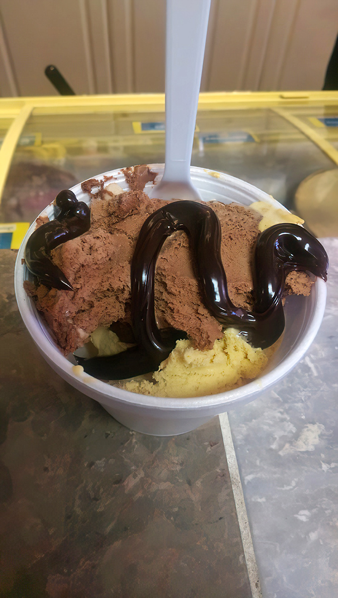 A double-decker dream team! Purple huckleberry beneath creamy vanilla&mdash;this cone doesn't just satisfy cravings, it creates new ones you never knew existed.