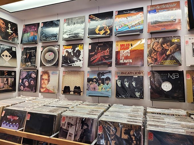 Album covers displayed like the rock and roll royalty they are. The Beatles and Miles Davis still commanding attention in the streaming age.