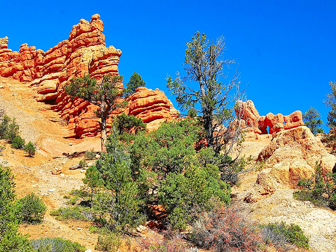 Red Canyon's otherworldly formations look like nature's attempt at sculpture&mdash;a crimson prelude to the grandeur awaiting at nearby Bryce Canyon.
