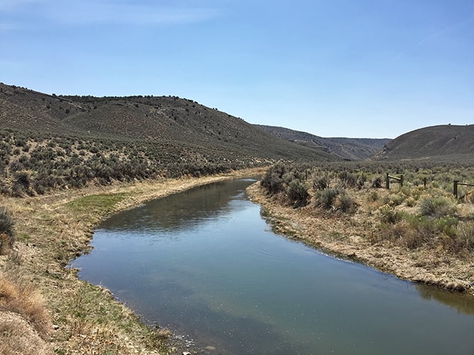 The Humboldt River meanders through the landscape like a liquid timeline, connecting Elko's present to its past as a lifeline for early settlers.