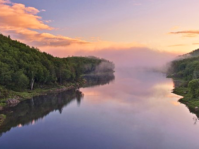 Misty mornings on the water create moments of perfect tranquility. This serene scene costs nothing but delivers priceless peace of mind.