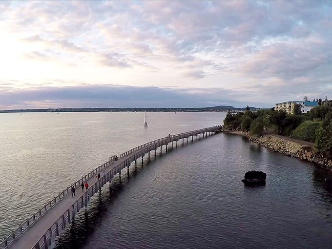 The Taylor Dock boardwalk stretches into Bellingham Bay like a runway for the soul, inviting contemplative strolls at any tide.