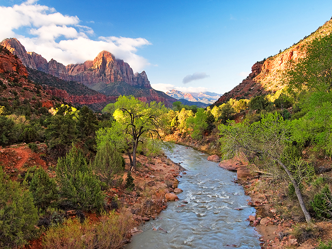 The Virgin River&mdash;sculptor of canyons, quencher of thirsts, and proof that persistence can literally move mountains, given enough time.
