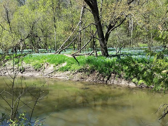 Fall foliage explodes in a riot of color that would make even the most jaded New Englander admit Wisconsin knows how to autumn properly.