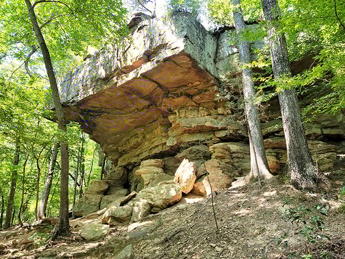Not just rocks&mdash;they're nature's skyscrapers, built over millennia without a single permit or construction delay.