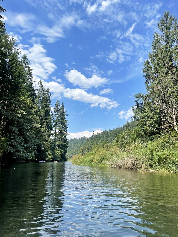 Silverton's brick buildings stand sentinel against time, housing modern businesses while whispering stories of the town's 19th-century origins to anyone who listens.