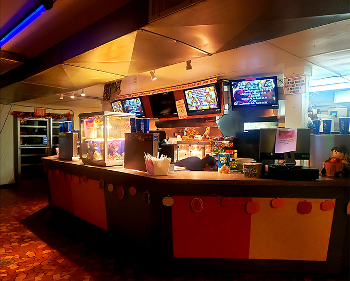 Inside the concession stand, time stands deliciously still. The popcorn machine hums with promise while candy displays tempt moviegoers of all ages.