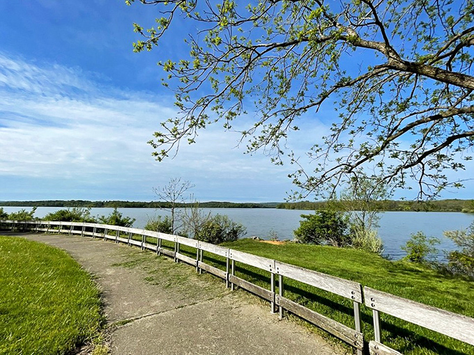 Spruce Run Recreation Area offers the kind of serene waterfront views that make smartphone scrolling seem suddenly ridiculous.