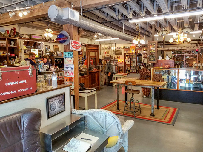 Vintage license plates and antique display cases create the perfect backdrop for discovering something you never knew you needed.