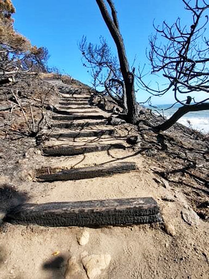 Rustic steps carved into the hillside promise adventure ahead. The stairway to heaven might be overrated compared to this stairway to ocean.