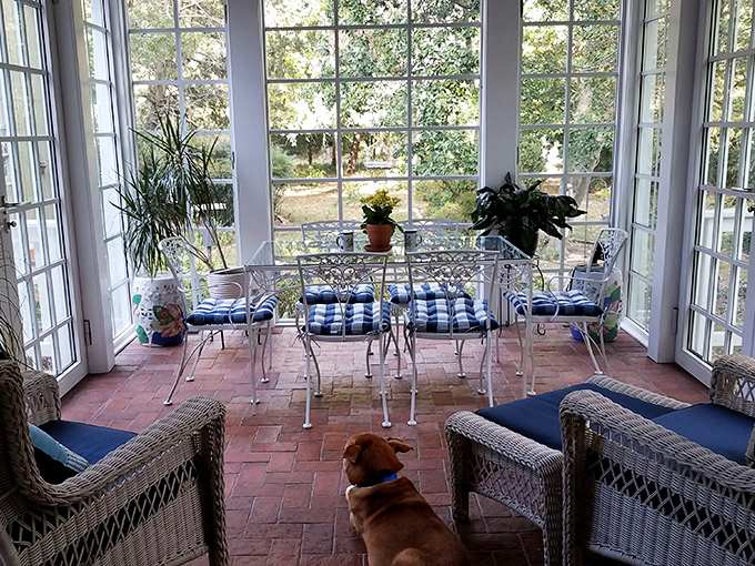 The sun room brings the outdoors in without the mosquitoes&mdash;note the furry supervisor ensuring quality control of all sunbeam placement.
