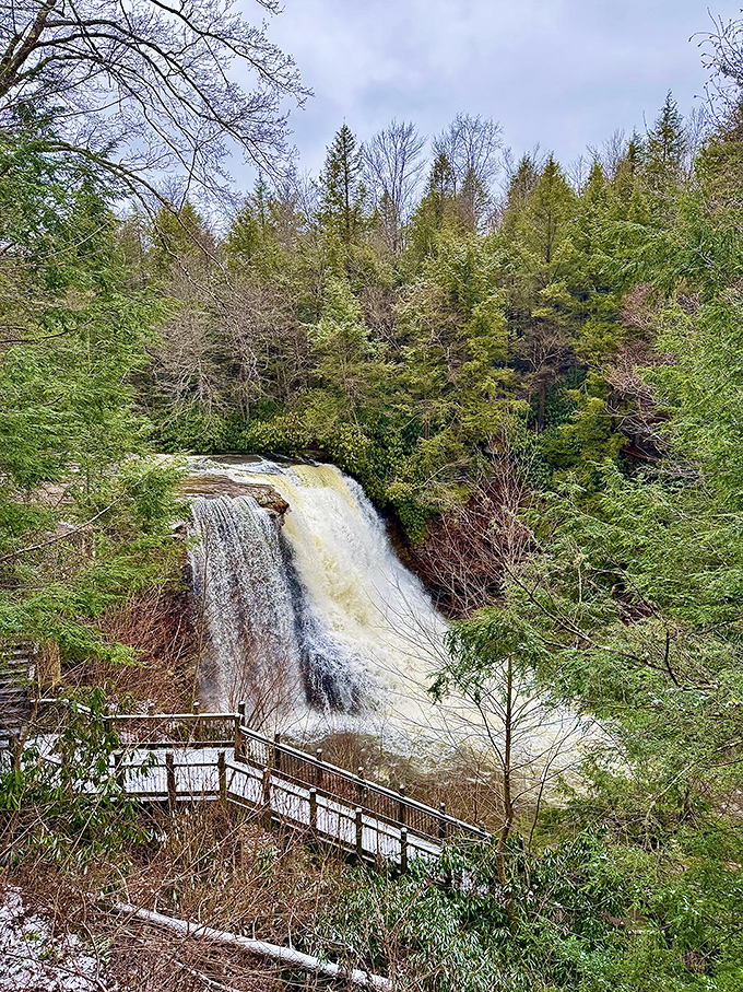 Winter transforms Muddy Creek Falls into nature's ice sculpture garden &ndash; proof that Maryland can do "winter wonderland" when it puts its mind to it. 