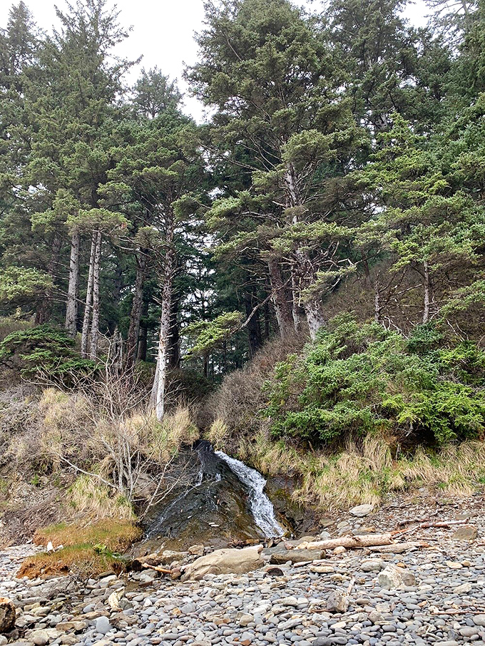 Ancient sentinels stand guard over the park, their towering presence a reminder of nature's magnificent patience