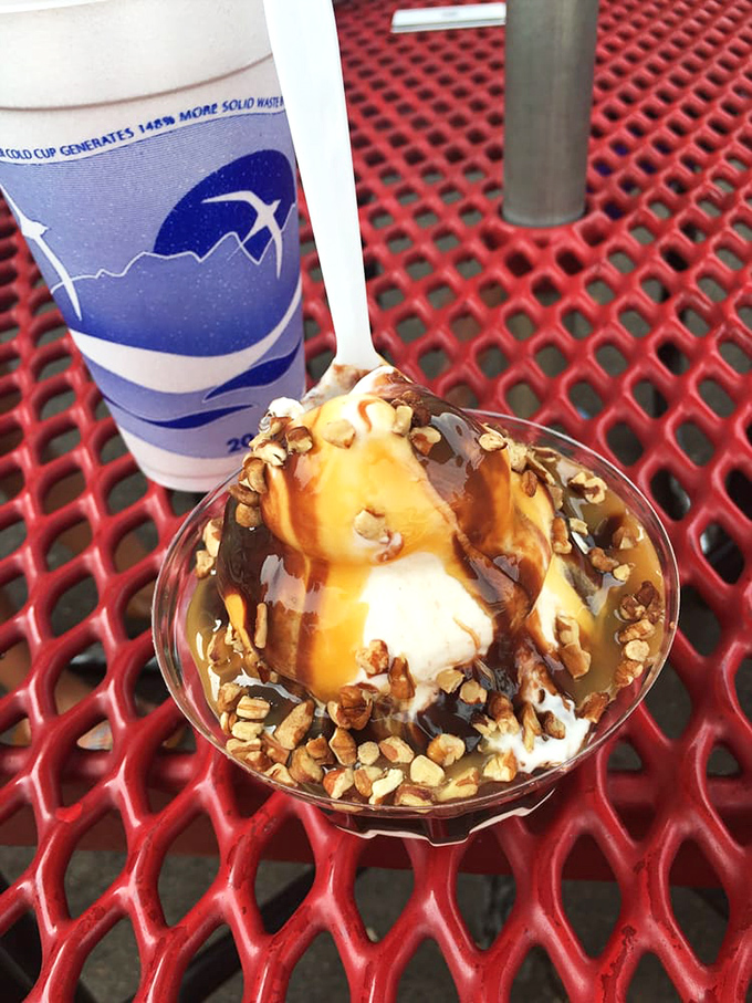 The blue Snookies sign against an Iowa sky&mdash;like a dairy-based North Star guiding sweet-toothed pilgrims to their destination. 