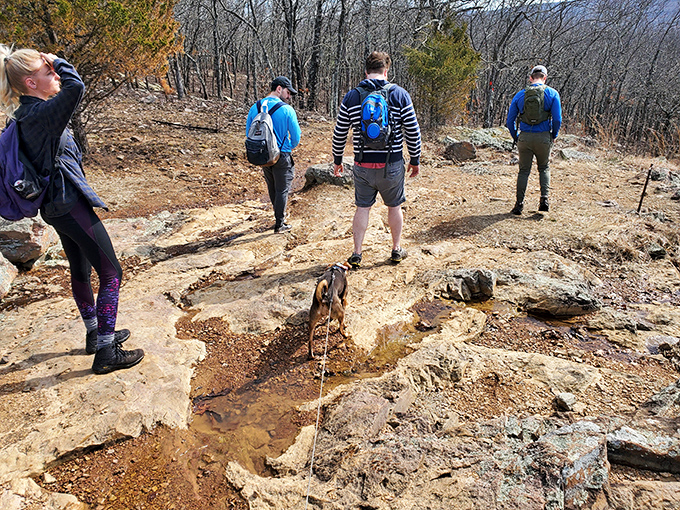 Fellow adventurers pause to consider life's big questions&mdash;like "how much farther?" and "did we pack enough trail mix?" Solidarity forms on mountaintops.
